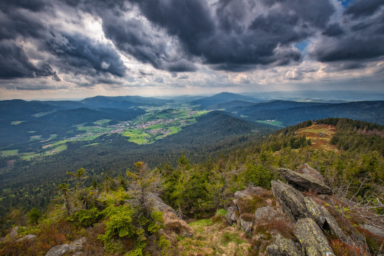Natur erleben Hotel Zur Post in Lam Bayerischer Wald Urlaub Aktivitäten ...
